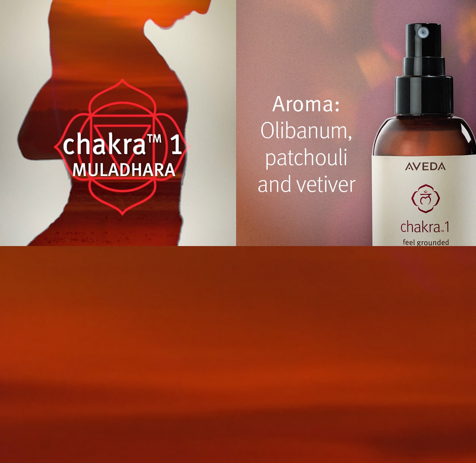 Chakra 1 - Root Chakra Balance | Aveda