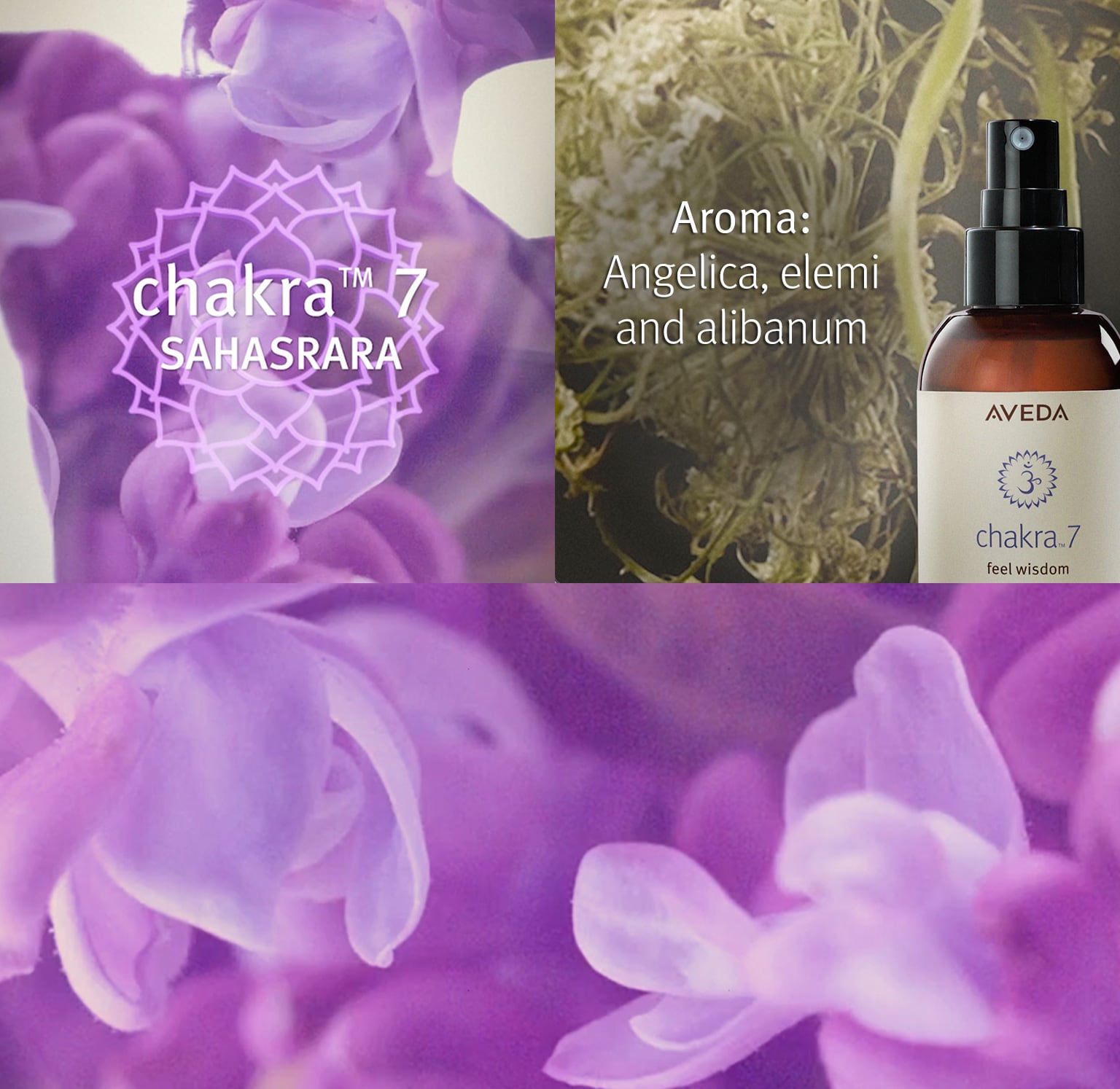 Chakra 7 - Balance Crown Chakra | Aveda